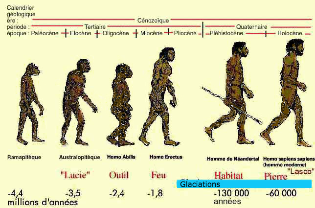 Préhistoire Passion Histoire